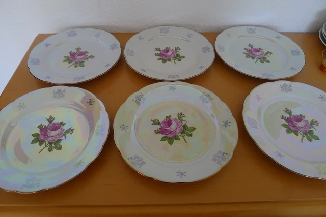 6 SPEISETELLER ,PORZELLAN, alt, irisierend , Rosen , von Kahla EUR 6,00 - PicClick DE