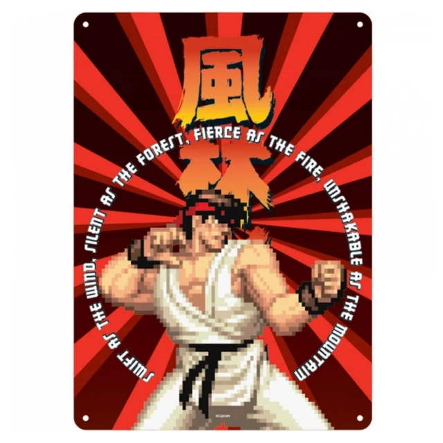 GENUINE CAPCOM STREET Fighter Ryu A5 Steel Sign Tin Wall Door Plaque ...