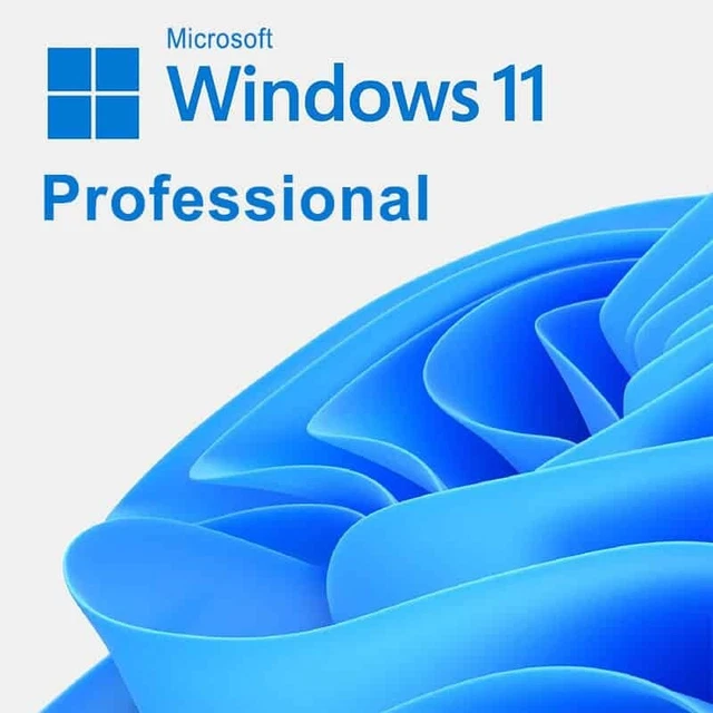 MICROSOFT WINDOWS 11 Professional Pro OEM Key Instant Email Shipping £5 ...