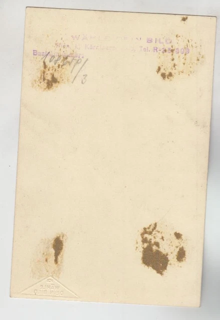 FOTO 2WK PORTRAIT Flak Soldat Wien Österreich Uniform Luftwaffe ...