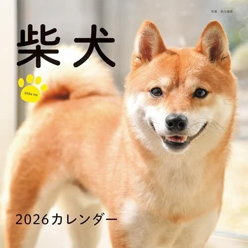 CALENDAR 2026 SHIBA Inu Seibundo Shinkosha $112.45 - PicClick CA