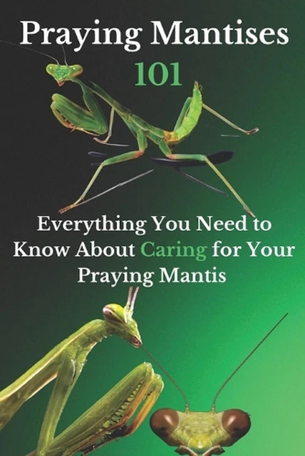 PRAYING MANTISES 101: Everything You Need to Know About Caring for Your ...