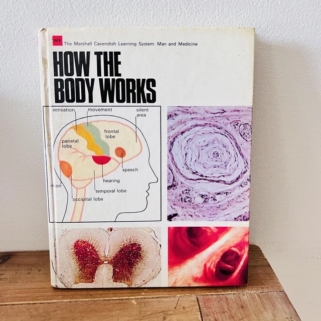 HOW THE BODY Works By Marshall Cavendish Learning System Man And ...