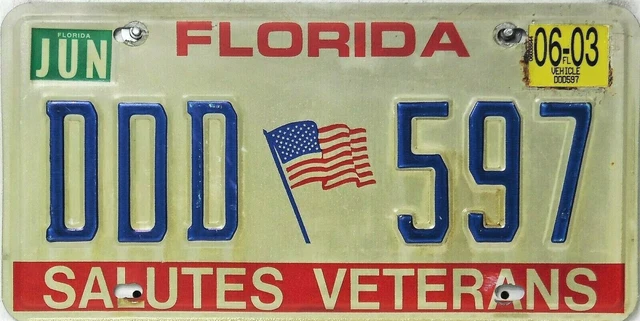 FLORIDA LICENSE PLATE, Original Nummernschild USA DDD 597 ORIGINALBILD ...