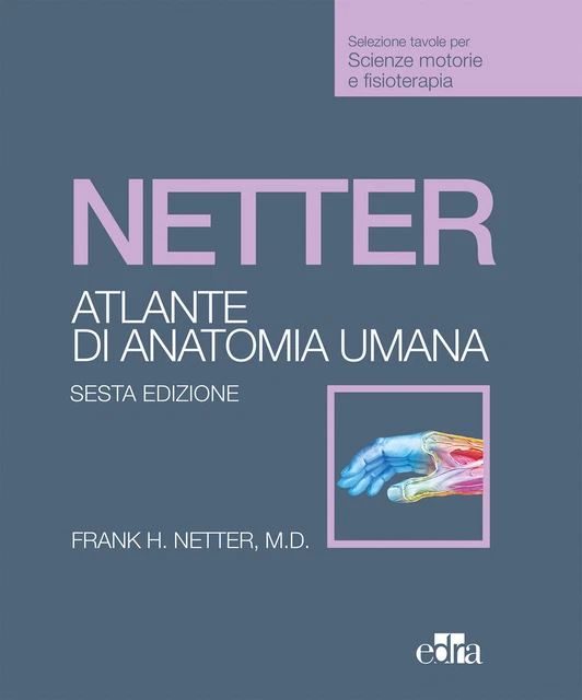NETTER. ATLANTE ANATOMIA umana. Scienze motorie e fisioterapia - Netter ...
