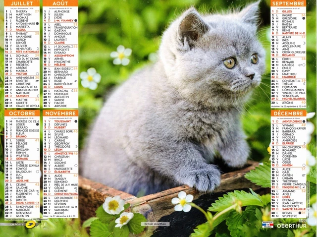 CALENDRIER LA POSTE 2024 [Almanach du facteur] Chats EUR 4,70 - PicClick FR