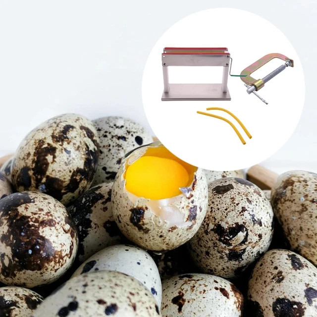QUAIL EGG SHELLING Machine Quail Egg Peeling Machine Manual with Clamp ...