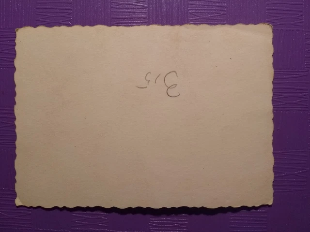 FOTO ALT ANTIK Landwirtschaft Heuwagen Rechen Feld field Family work ...