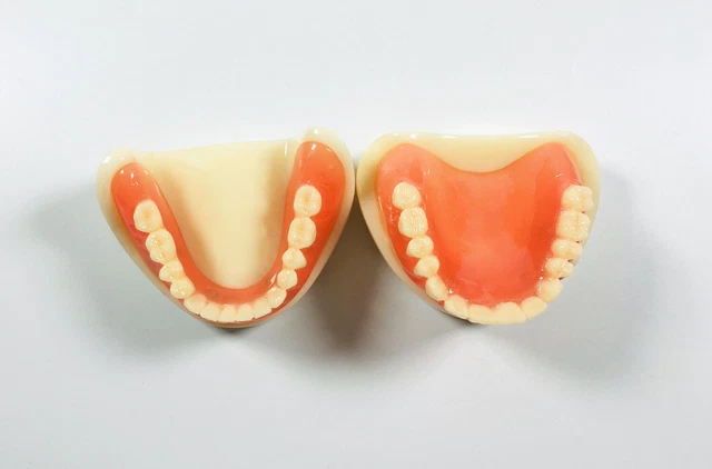 DENTAL FULL DENTURE Model Magnetic Attachment Mandibular Upper/Lower ...