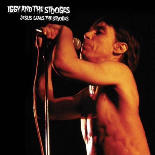 IGGY & THE Stooges Jesus Loves the Stooges (Vinyl) 12" Album (US IMPORT) EUR 39,20 - PicClick DE