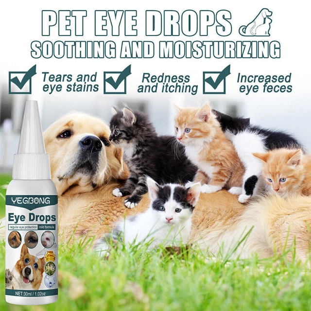 CONJUNCTIVITIS TREATMENT PET Eye Drops Dog Cat Horse Rabbit Eyes Care ...