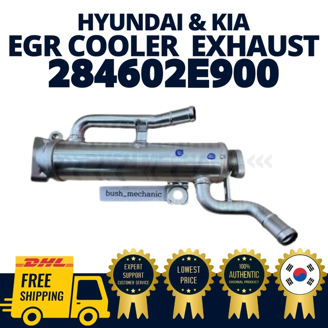 GENUINE OEM HYUNDAI Kia EGR Cooler Exhaust Gas Re-Circulation GASKETS ...