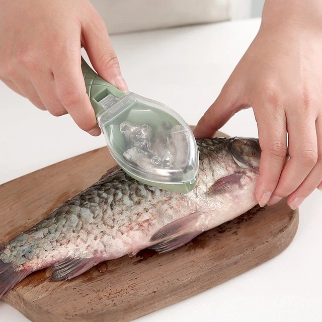 FISH SKIN BRUSH Scraping Fishing Scale Grater Remover Peeler Scaler ...