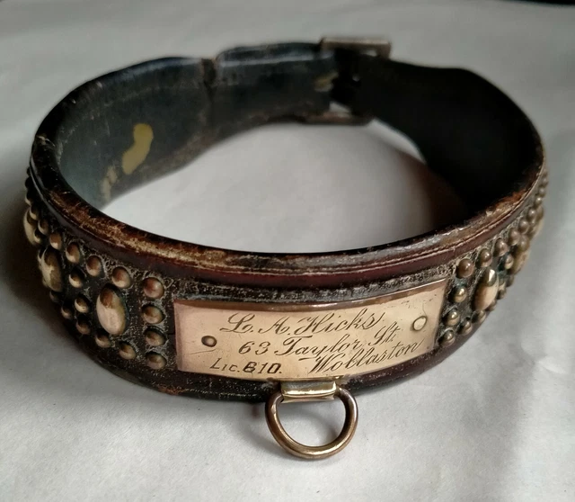 ANTIQUE DOG COLLAR late 19th Century 1900s Leather Brass Studs Engraved ...