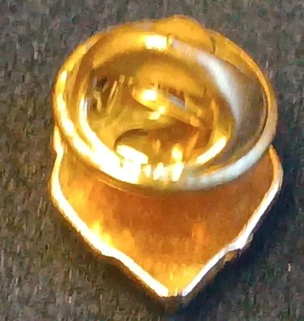 SPILLA PINS DISTINTIVO Stemma Simbolo Badge Logo Crest Club Genoa ...