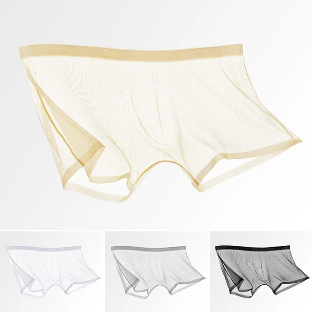 SEXY MENS BRIEFS See Through Sheer Boxer Mesh Underwear Shorts Trunks ...