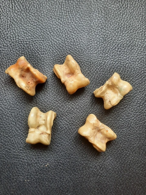 JEU DE 5 Osselets Anciens En Os Veritable EUR 15,00 - PicClick FR