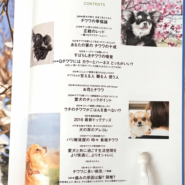 CHIHUAHUA STYLE VOL.23 | Chihuahua Specialty Magazine | Tatsumi ...