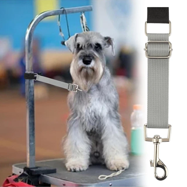 MULTI-COLOR PET GROOMING Harness Table Accessory Adjustable Arm ...