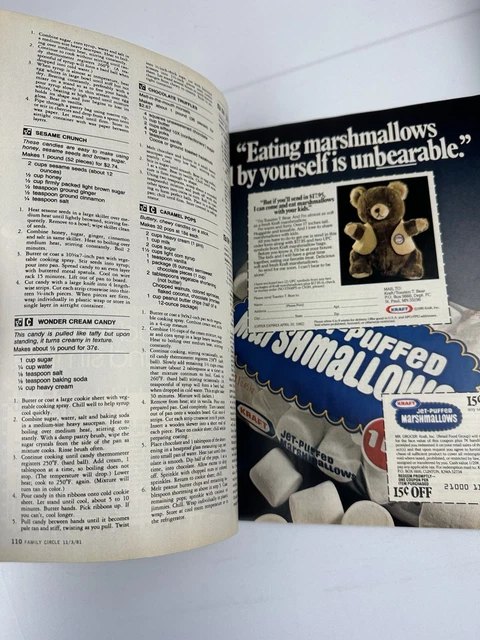 FAMILY CIRCLE MAGAZINE, NOVEMBER 3, 1981, ONE-STITCH SWEATER-VEST ...