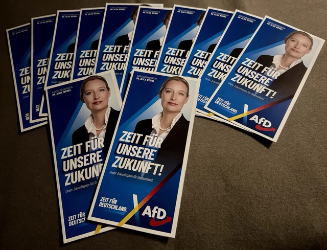 AFD FLYER 12 Stück Neu Alice Weidel EUR 15,00 - PicClick DE