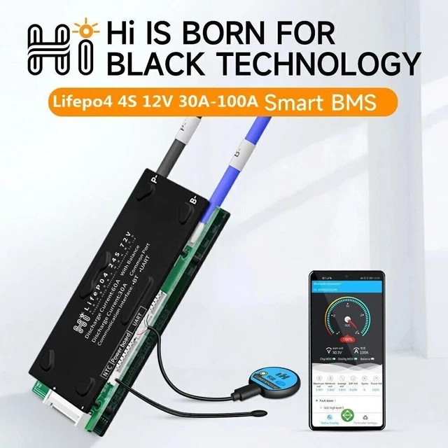 SMART BMS 4S 12V 30A-100A Lifepo4 Battery Board Common Port w/ Balance ...