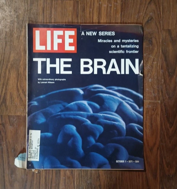 THE BRAIN - LIFE MAGAZINE The Brain a new series oct 1 971 £0.80 ...