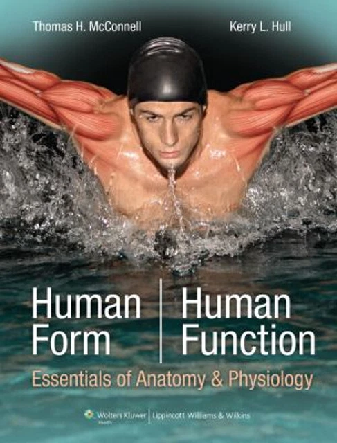 HUMAIN FORME, HUMAIN Fonction : Essentials De Anatomy Et Physiologie ...