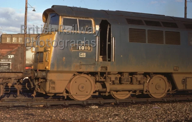 35MM SLIDE BR British Railways Class 52 Western D1010 Campaigner ...