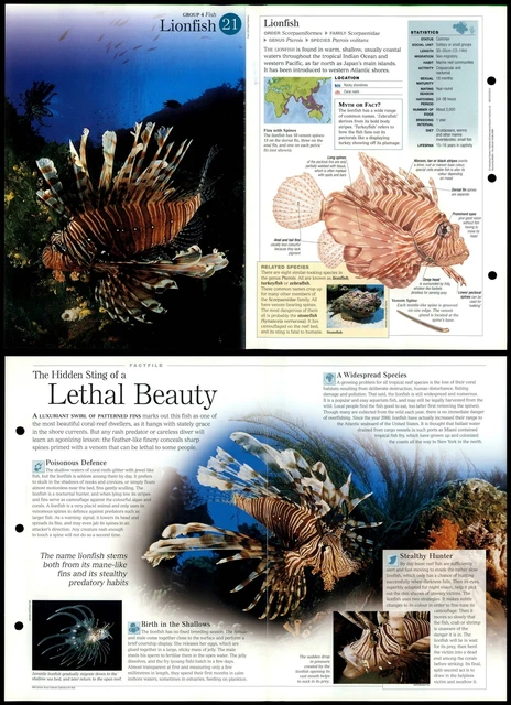 LIONFISH #21 FISH - Discovering Wildlife Fact File Fold-Out Card $2.57 ...