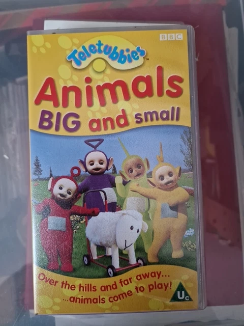 TELETUBBIES - ANIMALS Big And Small (VHS, 2001) £19.99 - PicClick UK