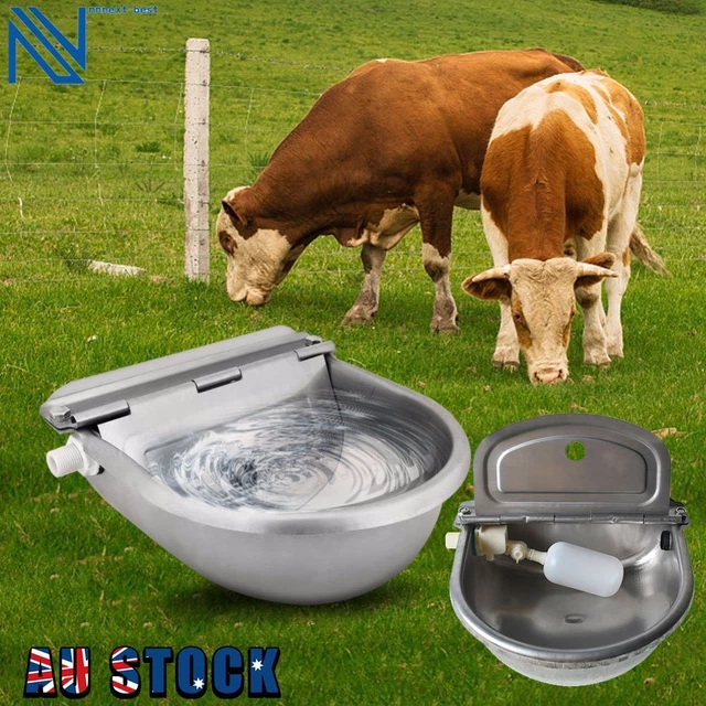 4L STAINLESS WATER Trough Bowl Auto Drinking For Dog Horse Chicken Auto ...