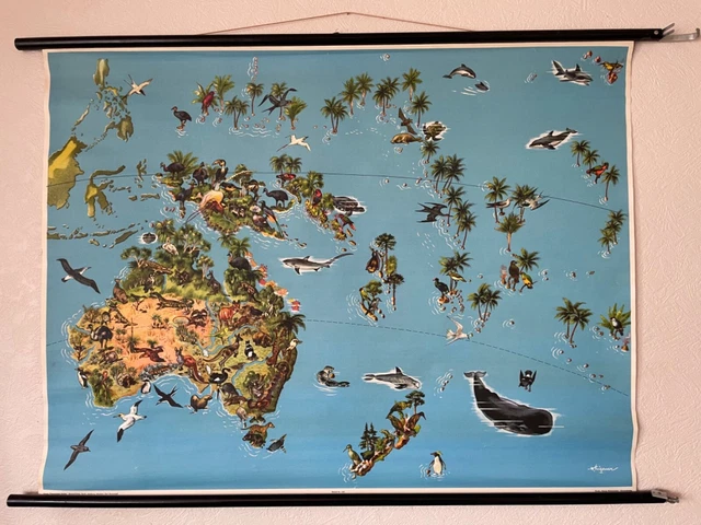 VINTAGE AUSTRALASIA MAP Westermann pictorial school chart ZOOLOGY ...
