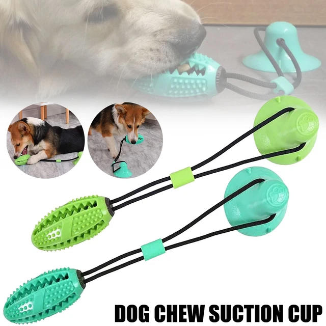 INTERACTIVE CHEW TOY Rubber Pet Molar Bite Floor Suction Cup Dog Balls ...