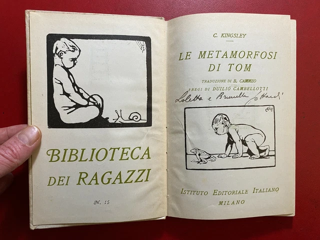 KINGSLEY - LE METAMORFOSI DI TOM Istituto Editoriale Italiano Libro ...
