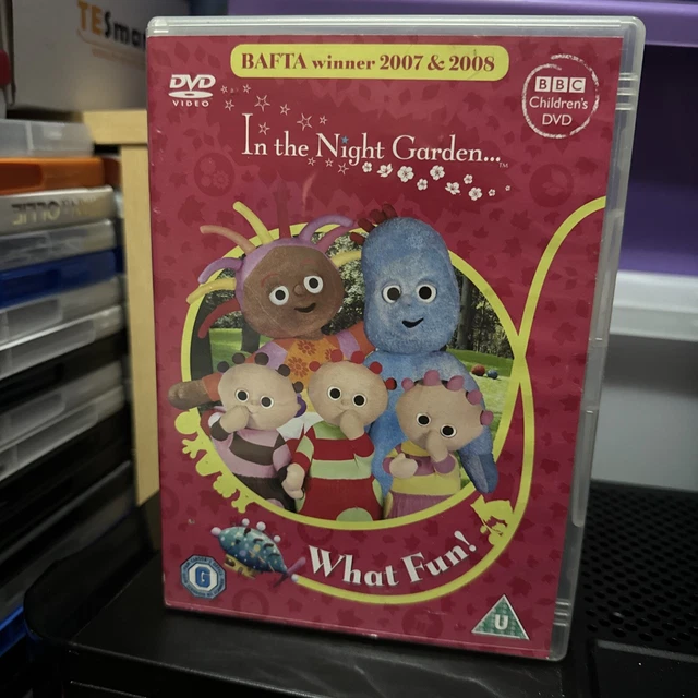 IN THE NIGHT Garden - What Fun! (DVD, 2009) £6.73 - PicClick UK