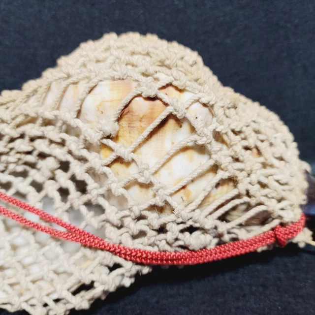 CONCH SHELL W/BAG 11inch Yamabushi Buddhism Armor Helmet Shugenja Bushi ...