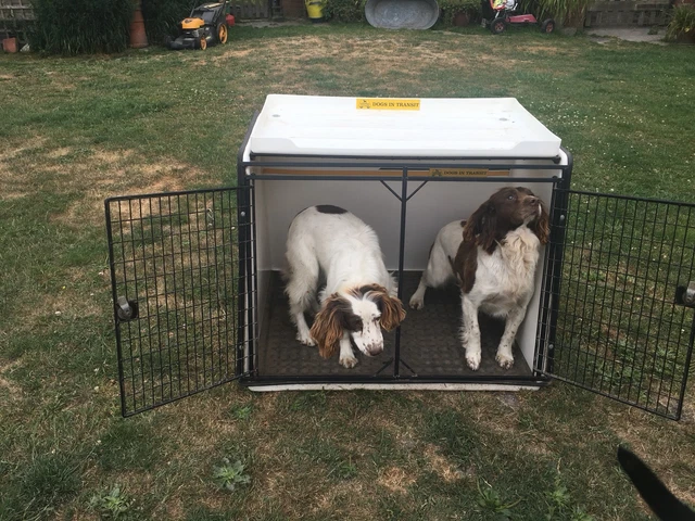 LINTRAN DOG transit Box DB10X £175.00 - PicClick UK