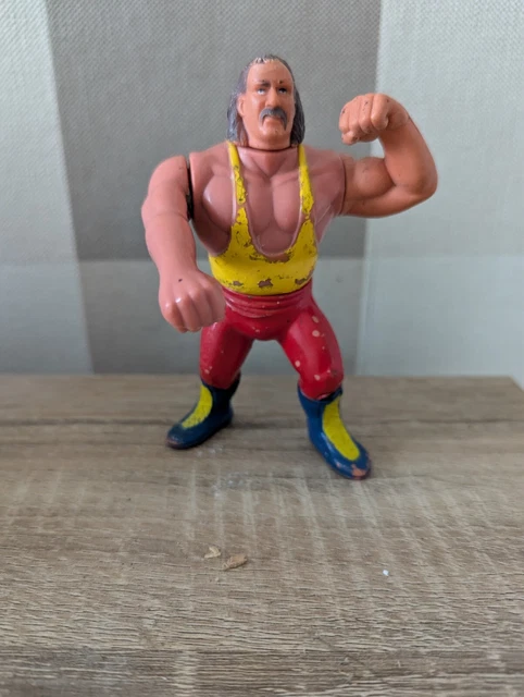 SIMBA WRESTLING CHAMPS Figure *JAKE "THE SNAKE" ROBERTS* WWF WWE HASBRO ...