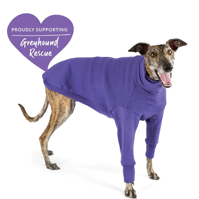KAZOO PURPLE GREYHOUND Whippet Sighthound Stretch Jumper Dog Clothing ...
