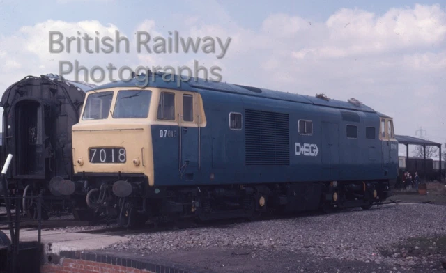 35MM SLIDE BR British Railway Diesel Loco Class 35 Hymek D7018 at Didcot 1980's £3.00 - PicClick UK