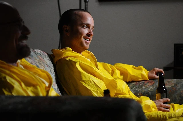 BREAKING BAD: SEASON 05 (Episode 1-8) (DVD) Bryan Cranston Anna Gunn ...