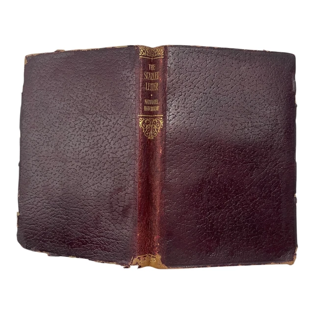 THE SCARLET LETTER by Nathaniel Hawthorne - Vintage Illustrated Edition ...