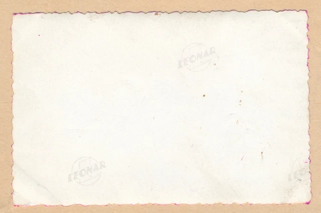 FOTO WEHRMACHT LKW Auto Wappen Divisionswappen Maling Bär EUR 7,99 ...