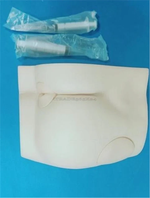 TRAINING MODEL BUTTOCKS/HIP New Intramuscular Injection Simulator eo ...