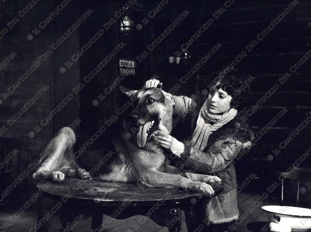 1974 FILM ZANNA Bianca alla riscossa Matteo ZOFFOLI attore Ricci Regia ...