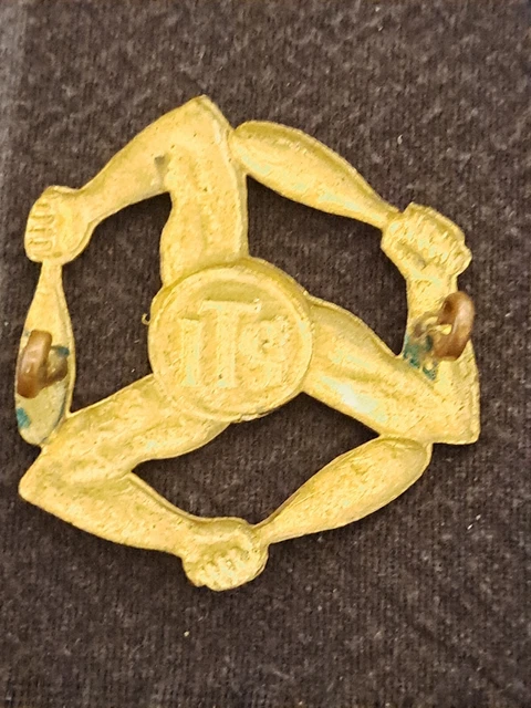 ROYAL AIR FORCE RAF Physical Training Instructor PTI brass arm badge £ ...