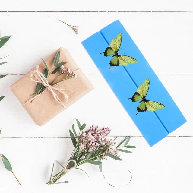 SPECIMEN BOARD SPECIMEN Display Panel Pinning Board Butterfly Specimen ...