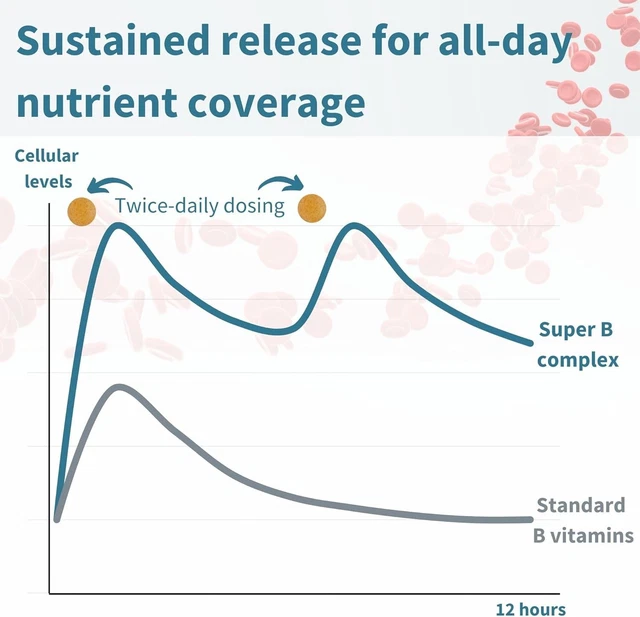SUPER B-COMPLEX - High Absorption Methylated B Vitamins with Folate, B6 ...