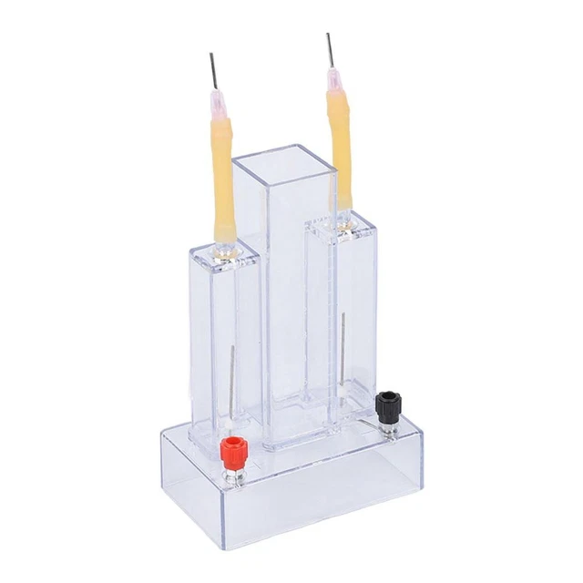 REAL TIME OBSERVATION Water Electrolysis Kit for Classroom Science ...